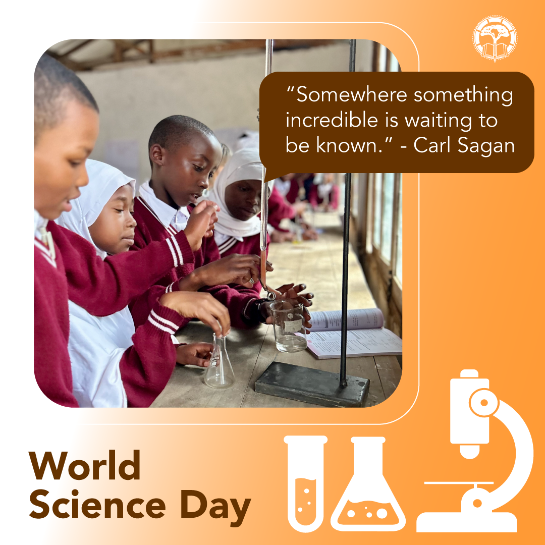 World Science Day for Peace & Development: Celebrating Women in Science ...
